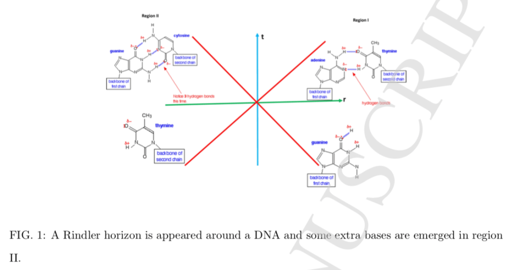 Surfing the water-DNA waves – Science Integrity Digest