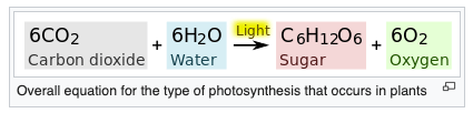Human Photosynthesis – Science Integrity Digest