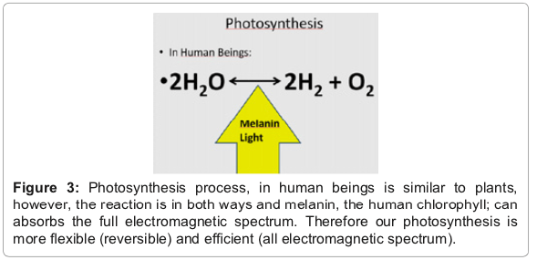 Human Photosynthesis – Science Integrity Digest