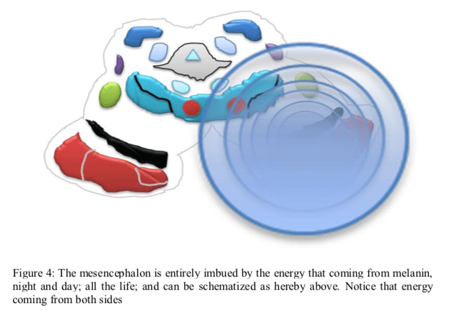 Human Photosynthesis – Science Integrity Digest