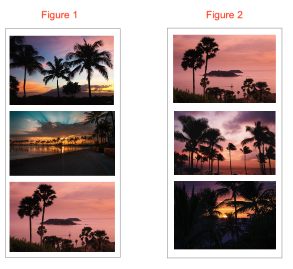 Types of image duplications: the palm trees – Science Integrity Digest