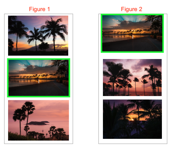 Types of image duplications: the palm trees – Science Integrity Digest