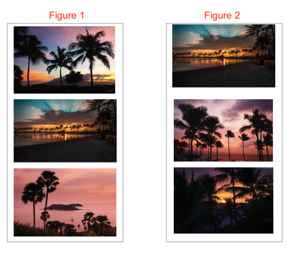 Types of image duplications: the palm trees – Science Integrity Digest