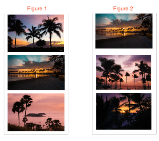 Types of image duplications: the palm trees – Science Integrity Digest