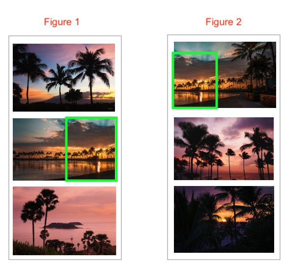 Types of image duplications: the palm trees – Science Integrity Digest