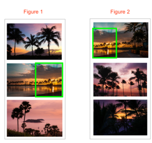 Types of image duplications: the palm trees – Science Integrity Digest