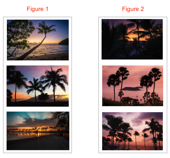 Types of image duplications: the palm trees – Science Integrity Digest