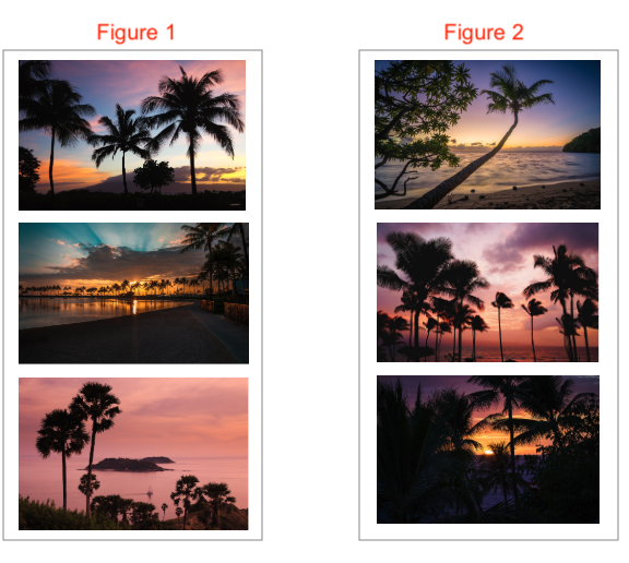 Types of image duplications: the palm trees – Science Integrity Digest
