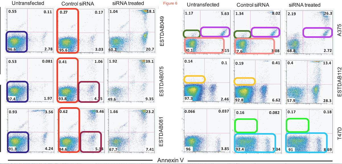 Scanning for duplications – Science Integrity Digest