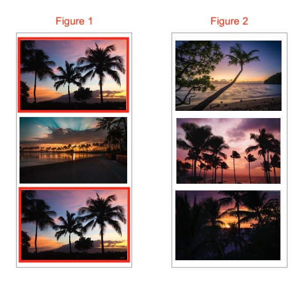 Types of image duplications: the palm trees – Science Integrity Digest