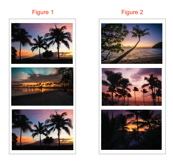 Types of image duplications: the palm trees – Science Integrity Digest