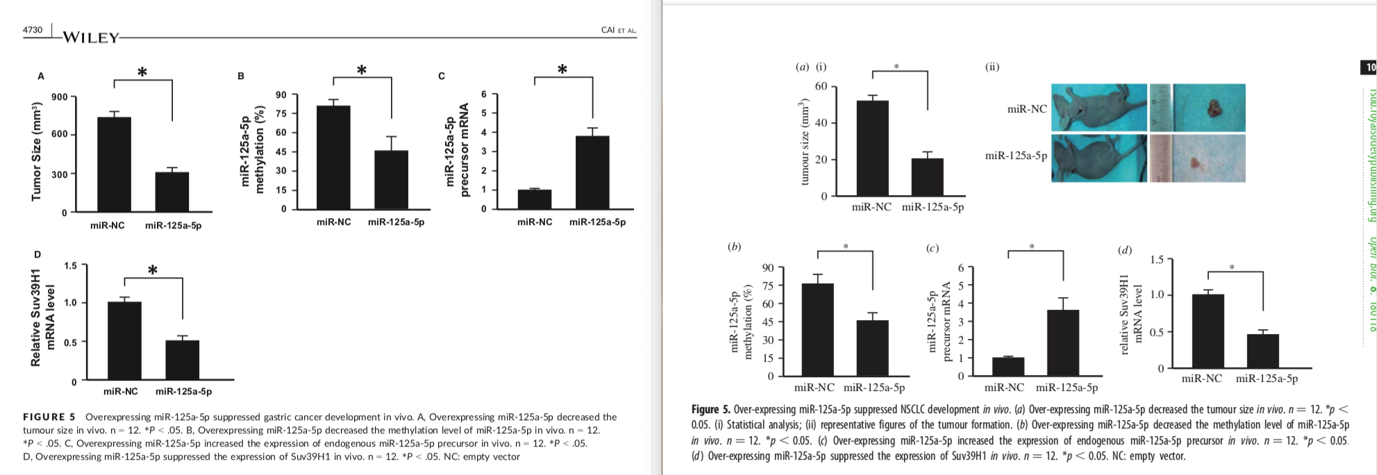 The Octopaper – Science Integrity Digest