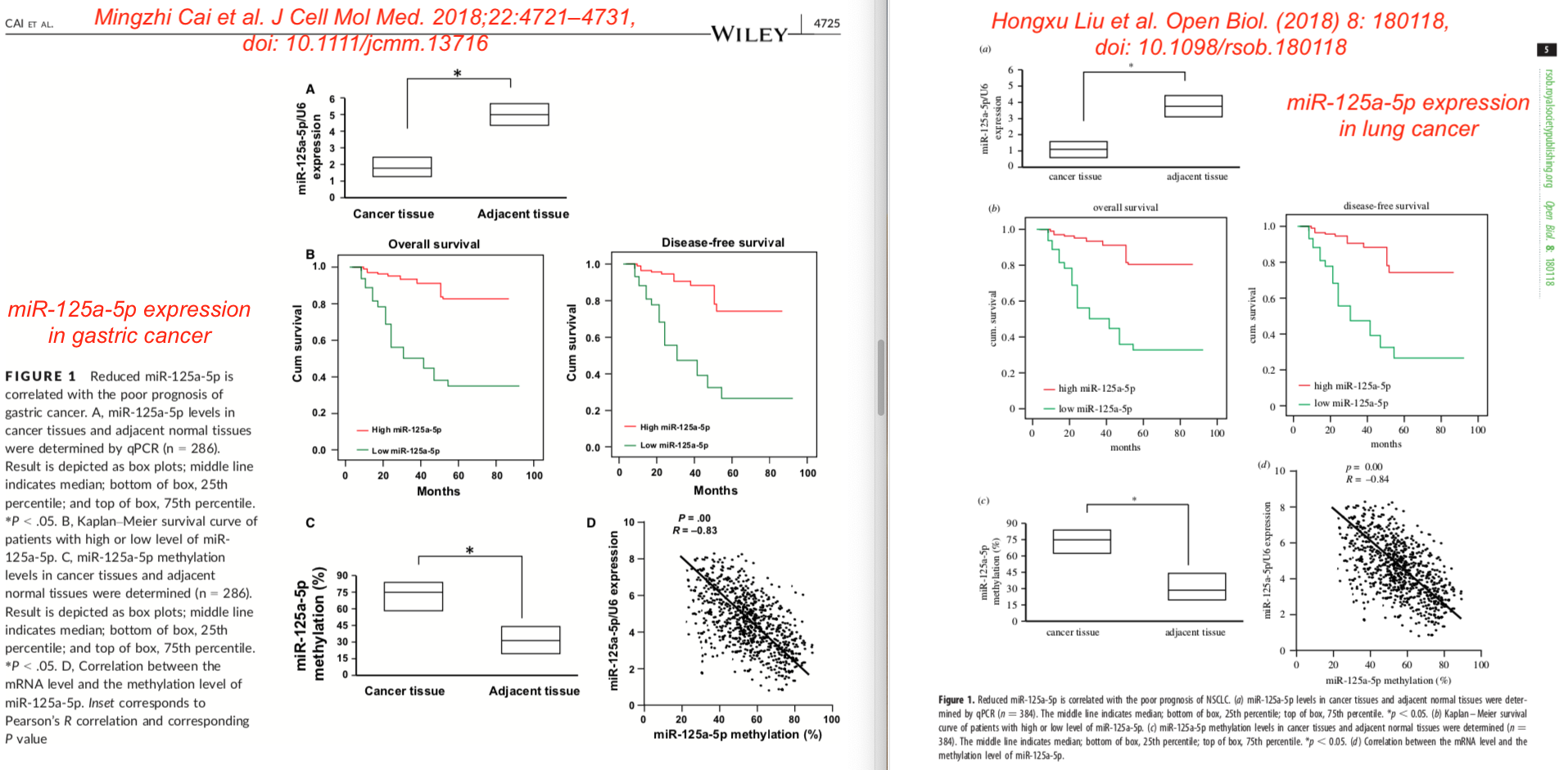 The Octopaper – Science Integrity Digest