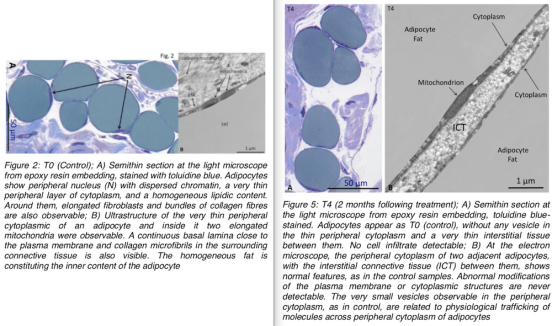 A Dermatology journal issue that might make your skin crawl – Science ...