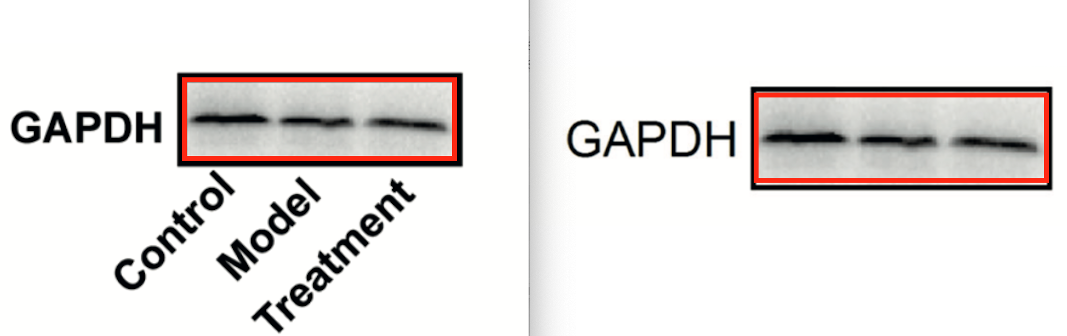 The “Effect” Paper Mill – Science Integrity Digest