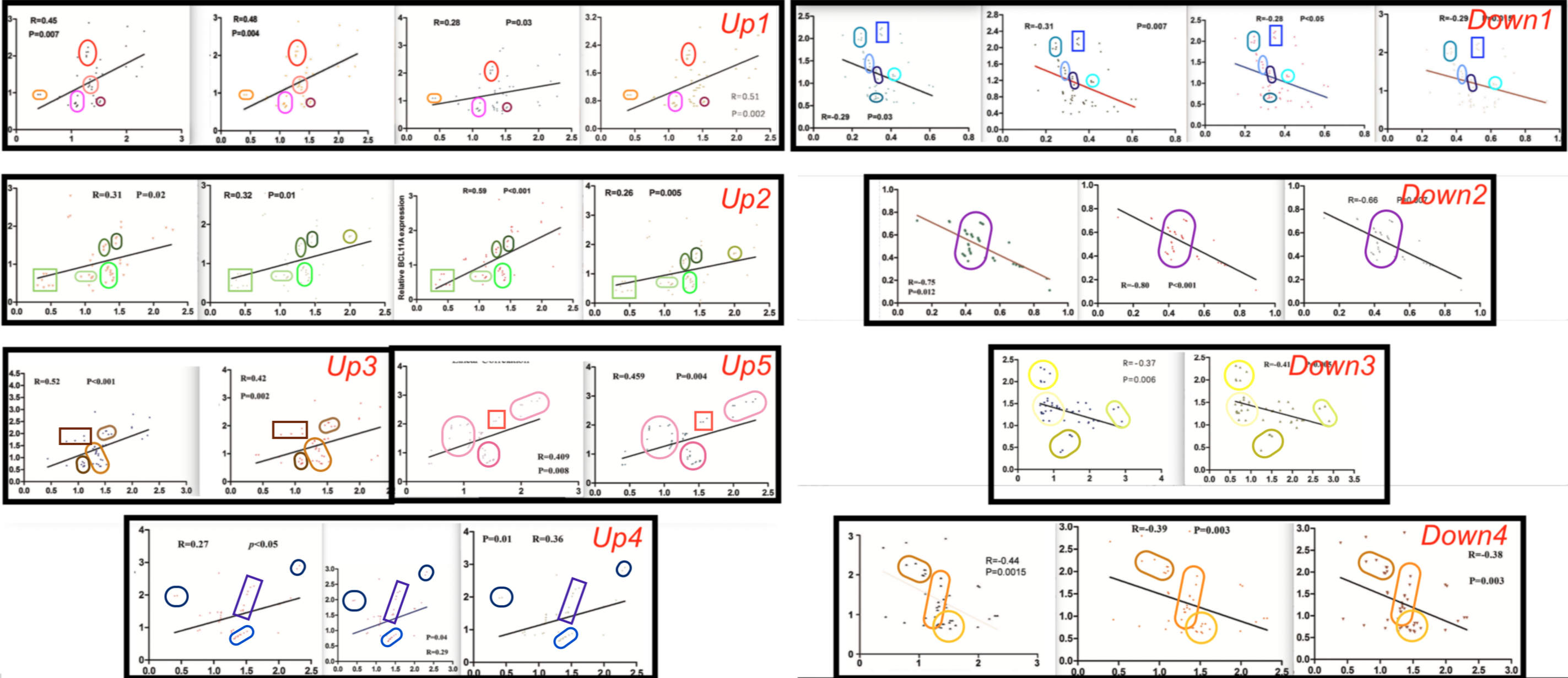 The Stock Photo Paper Mill – Science Integrity Digest