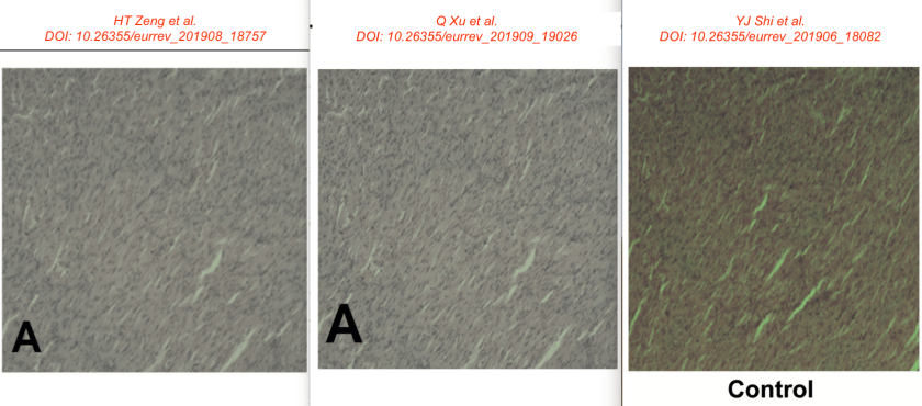 The “Effect” Paper Mill – Science Integrity Digest