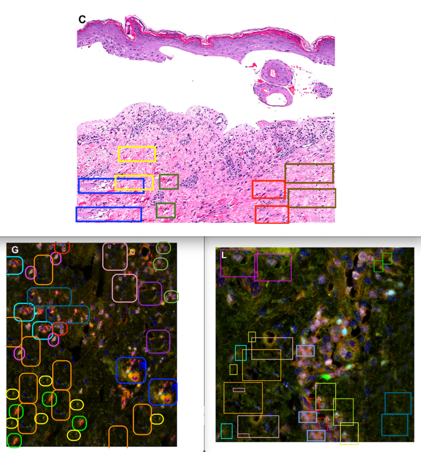 Science Integrity Digest – A blog about science integrity, by Elisabeth ...