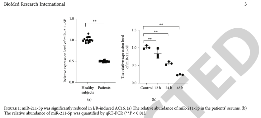 Hindawi’s mass retraction of “Special Issues” papers – Science ...